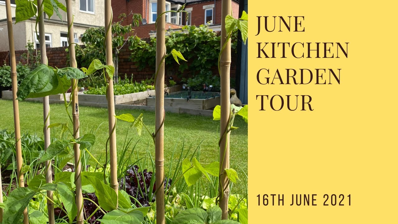June kitchen garden tour | dealing with the unexpected - YouTube