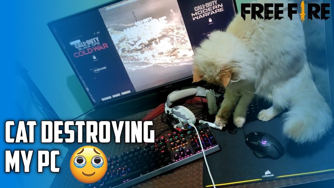 CAT DESTROYING MY PC 😂 HE IS REALLY FAST 😬 GARENA FREE FIRE - YouTube