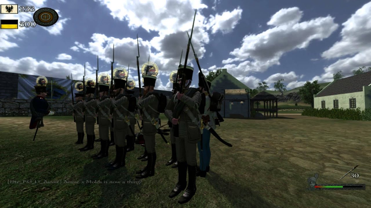 Mount and Blade Napoleonic Wars: Inspections Through the Ages - YouTube