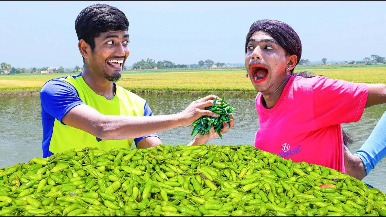 Funniest Fun Amazing videos Must Watch Entertainment comedy 2024, Funny ...