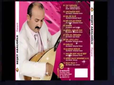 neşet abalıoğlu bana resmi degil kendedisi lazım