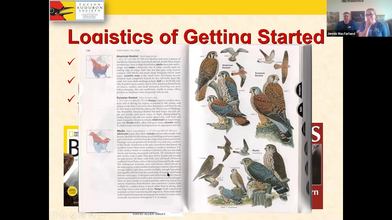 Birding Tips and Tricks - YouTube