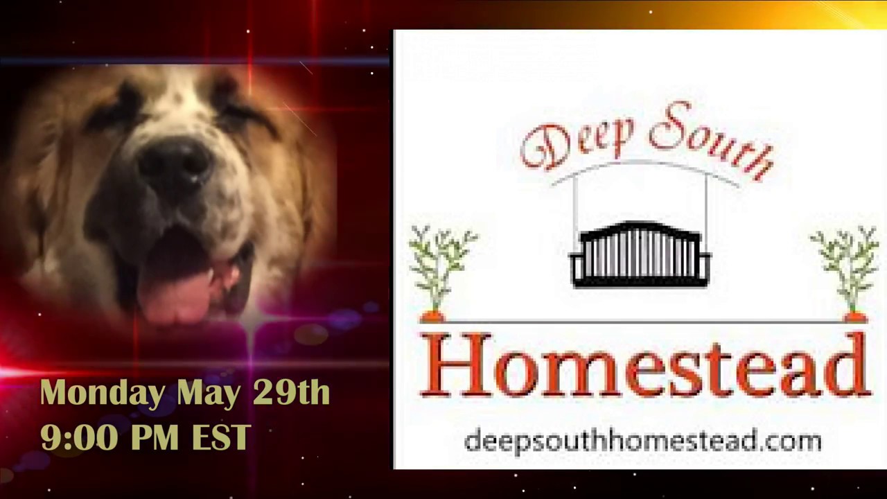 Live May 29th with Deep South Homestead - YouTube