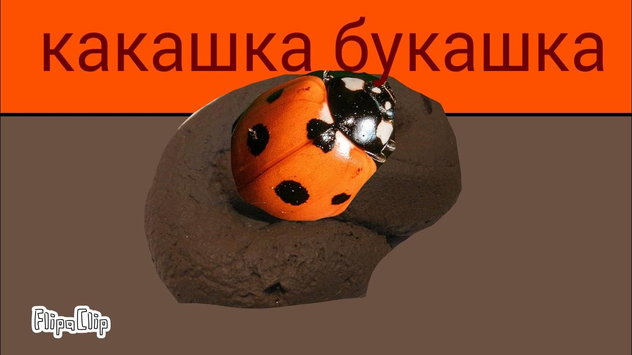 Какашка букашка - YouTube