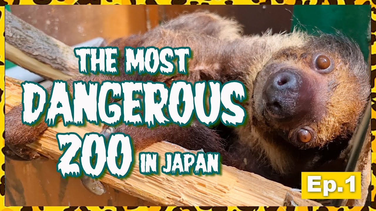 The most dangerous zoo in Japan Ep.1 【English/ほぼ日本語】 - YouTube