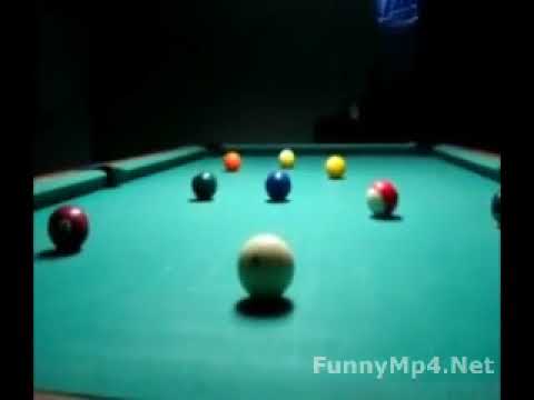 New Brilliant Dog Playing Snooker Amazing Latest 2018 - YouTube