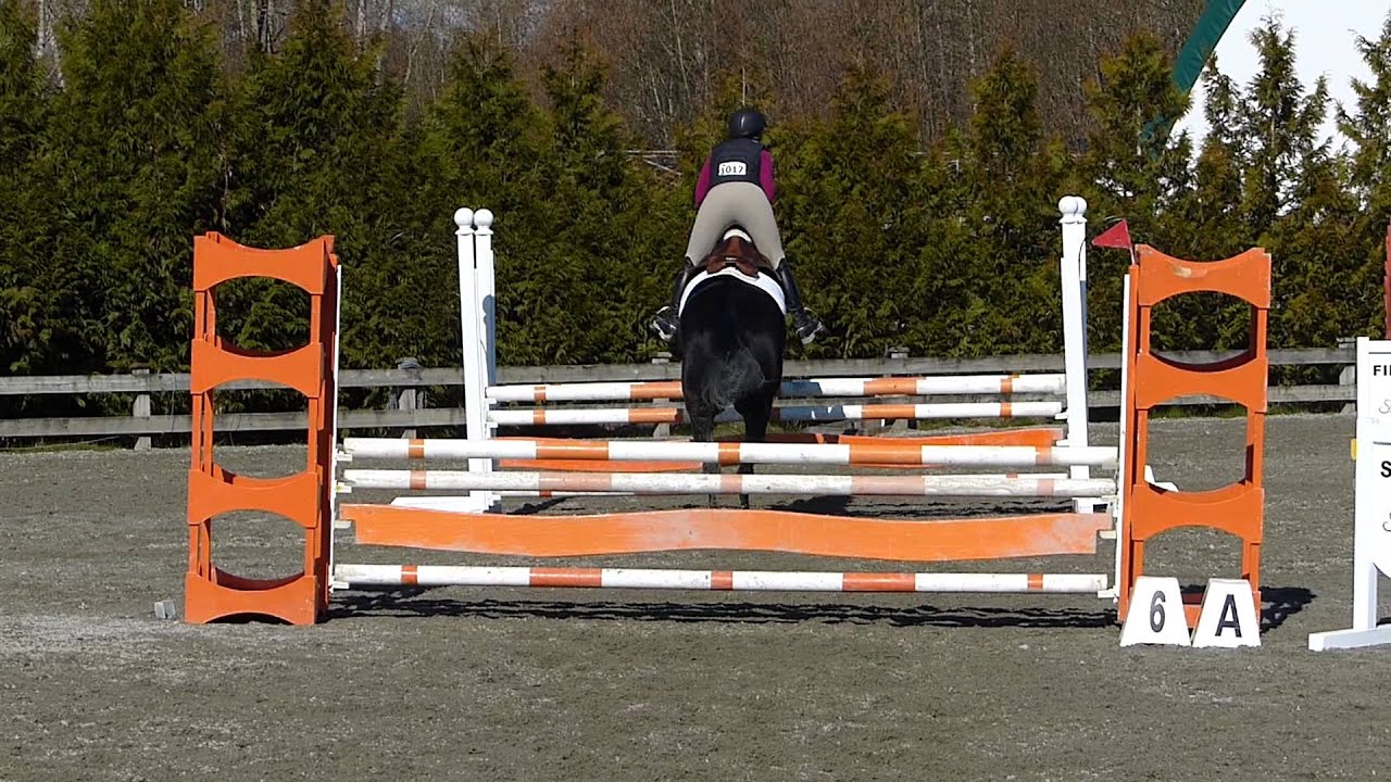 Black Label 3'0 Open Jumpers 1st place out of 34- SOLD - YouTube