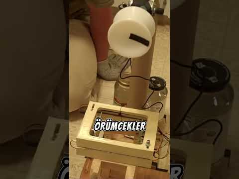 Örümcek İpeği Nasıl Toplanıyor? 🕸️🔬 İnanılmaz Yöntem!