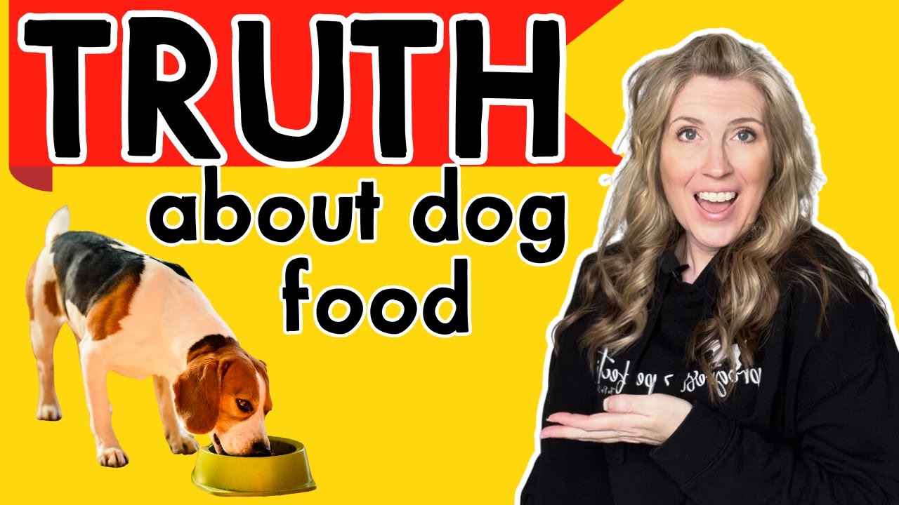 TRUTH About Dog Food & Synthetic Supplements with Amy Renz of Goodness ...