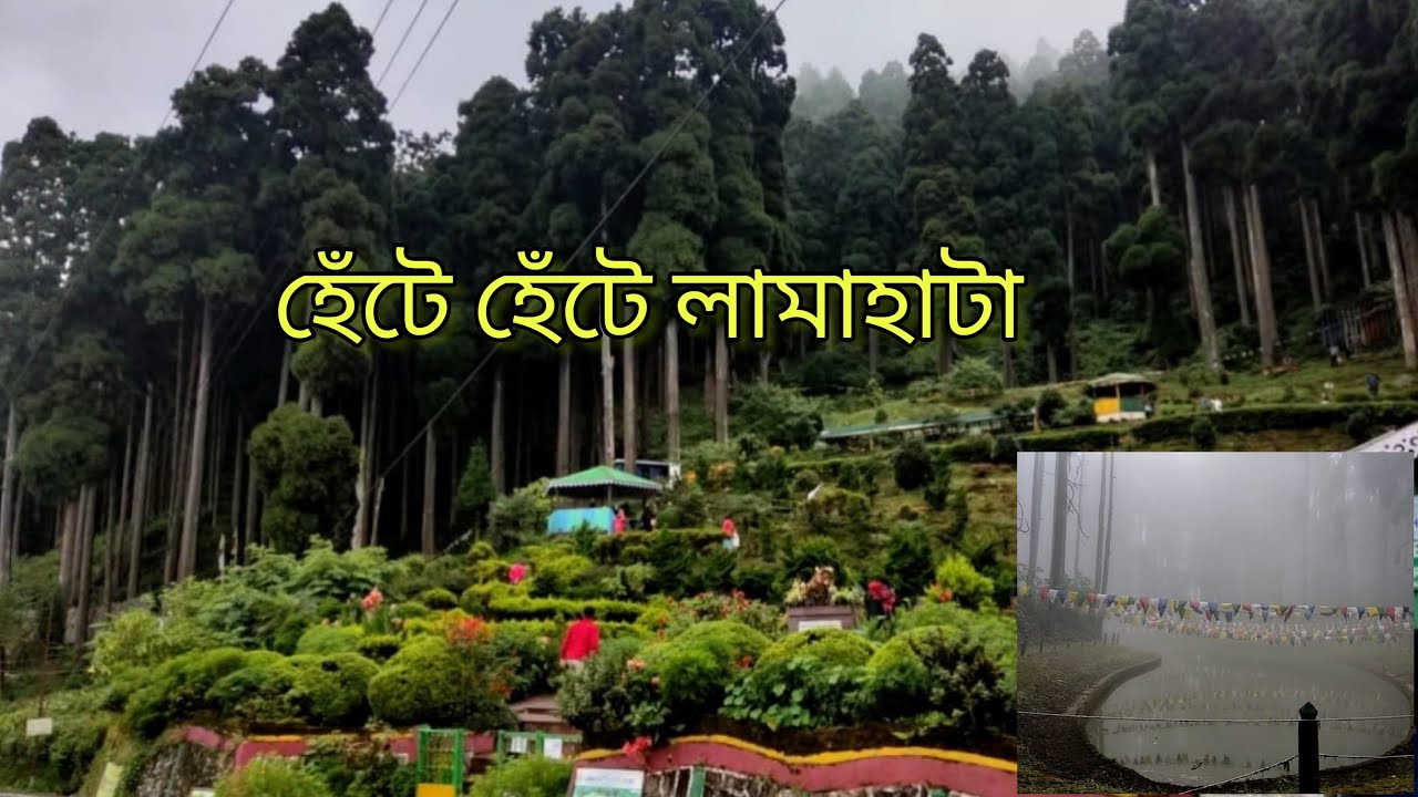 Lamahatta Darjeeling | Lamahatta Eco Park | Lamahatta Tour Plan ...