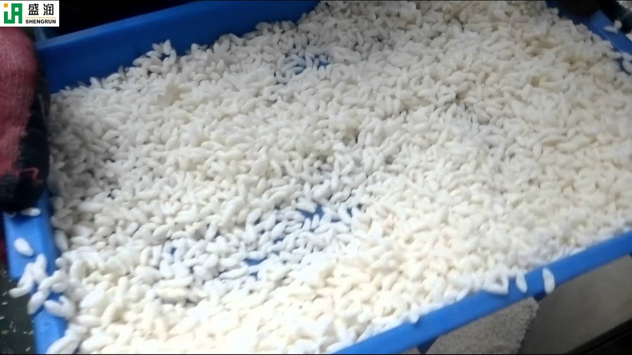 continue puffed rice processing line - YouTube