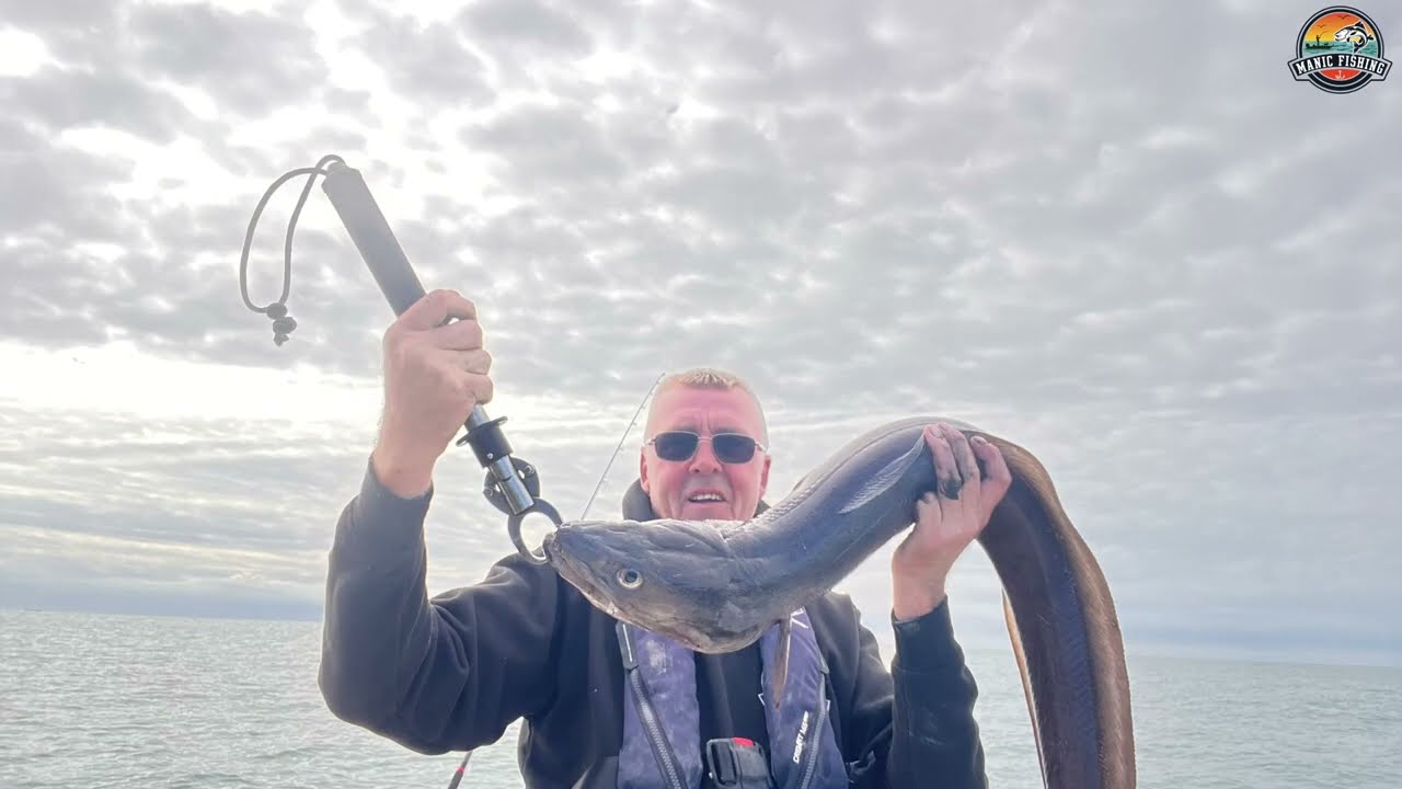 UK boat fishing How to catch Conger Eels #fishing #wreck #bigfish - YouTube