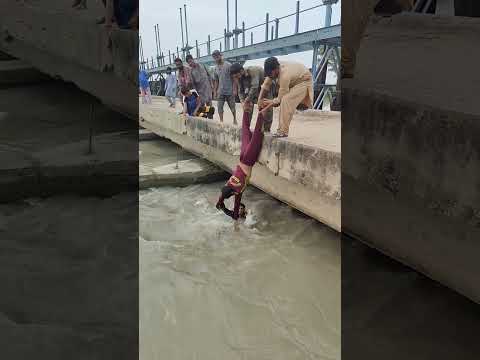 yar tera Pyar to hai meri zindgi ❣️ wait for end 🤗#tariqmeo #trending #shorts #viral #youtubeshorts