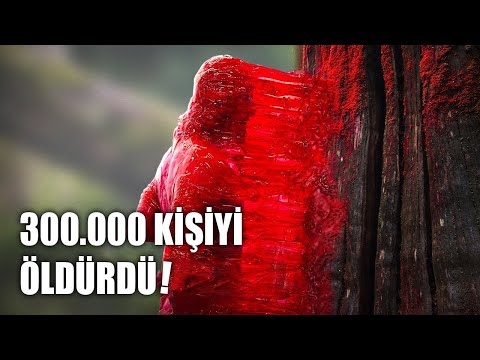 Savaş Tarihinde Kullanılmış En Korkunç Tuzaklar