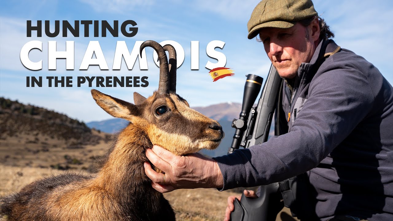 Hunting Chamois in the Pyrenees - YouTube