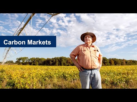 Decoding Carbon Markets and What They Mean to Pork Producers