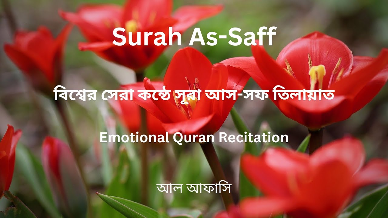 Surah As Saff সূরা আস-সফ #best_quran_recitation #quran_recitation #al ...