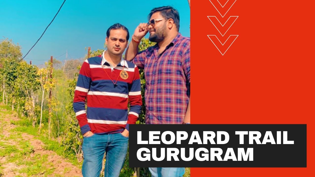LEOPARD TRAIL Gurugram | Throttle Shrottle Cafe | ARAVALI | Leopard ...