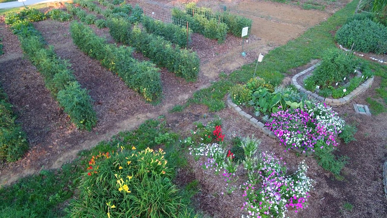Teaching Garden - YouTube