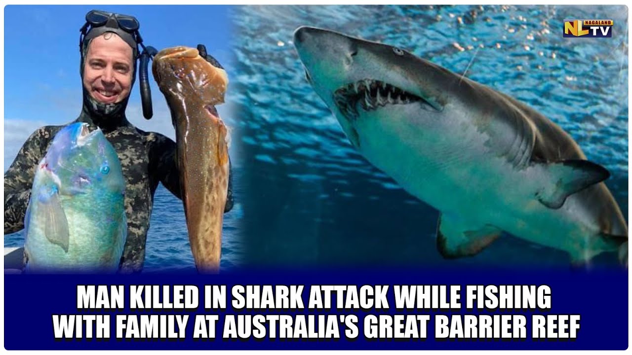 MAN KILLED IN SHARK ATTACK WHILE FISHING WITH FAMILY AT AUSTRALIA'S ...
