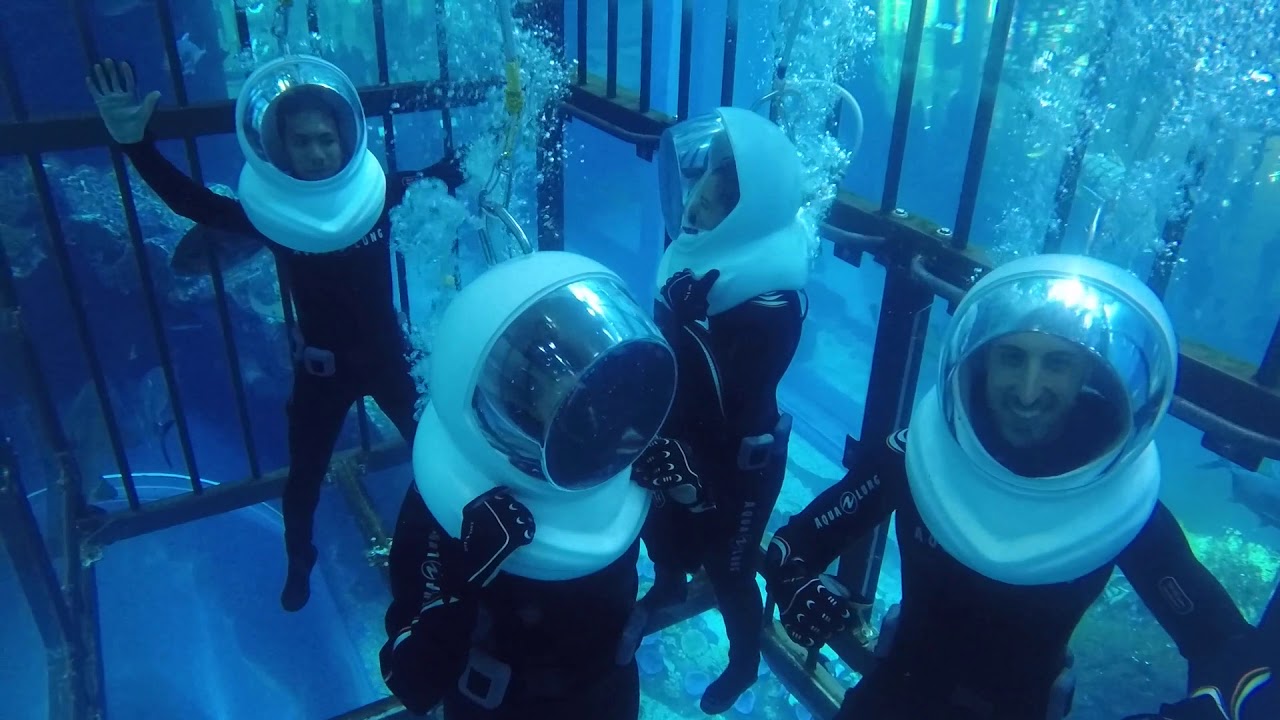 Dubai Aquarium & Underwater Zoo - Dubai Mall EXPERIENCE 01 - YouTube