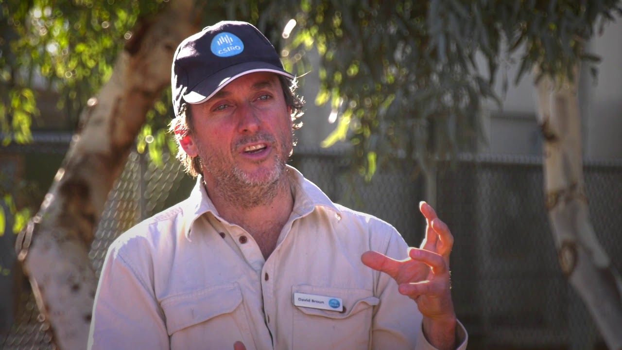 Wiluna Remote Community School: Learning Together Through Two Way ...