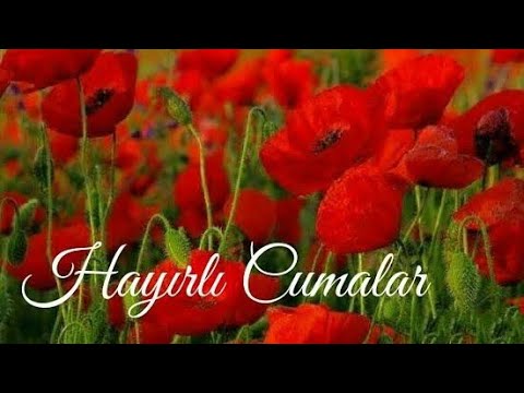 İlahili Kısa Cuma Mesajları 🎀 Videolu Dualı Cuma Mesajları 🎀 Cumanız Mübarek Olsun 🎀 #cumamesajı