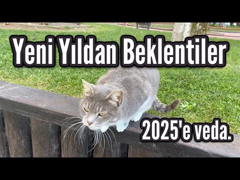 Yeni Yıldan Beklentiler - 2026