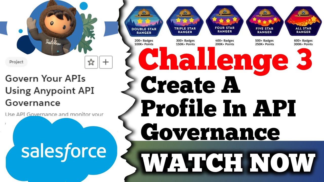 Create a Profile in API Governance || Govern Your APIs Using Anypoint ...
