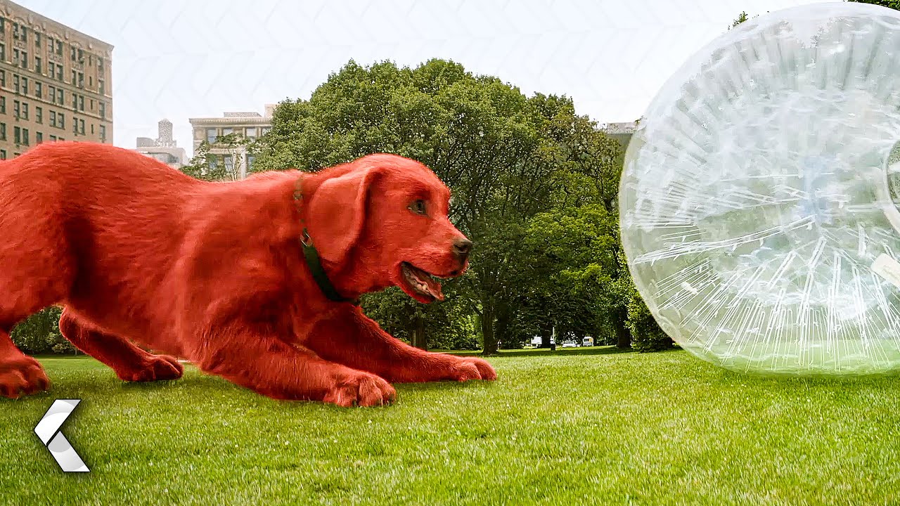 CLIFFORD THE BIG RED DOG Movie Clip - No Fetch! (2021) - YouTube