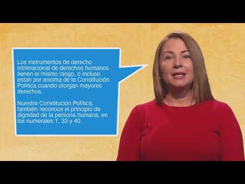 Principio Pro Homine y principio Pro Libertate en el derecho penal ...