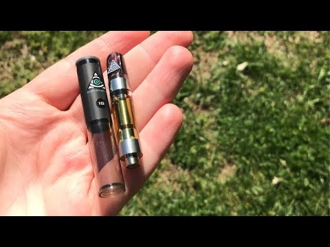 Anti Gravity Cart Review 💨 - YouTube
