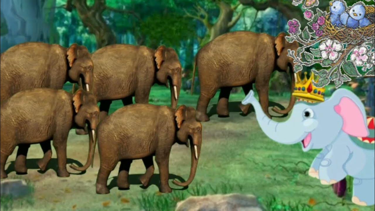 Ellie The Elephant. - YouTube