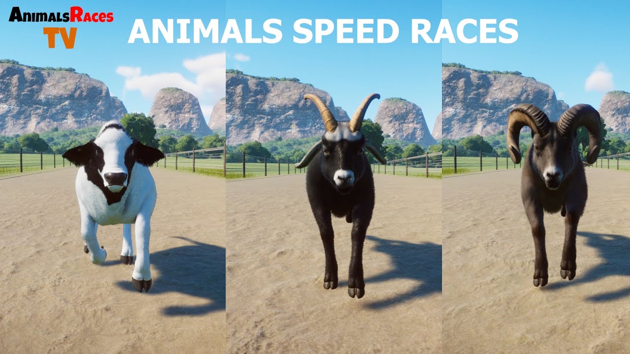 3 Farm Animals Speed Races in Planet Zoo - Holstein Friesian Cow ...
