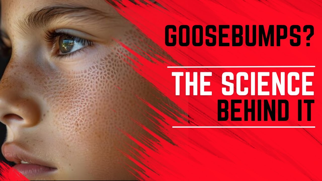 Goosebumps? The Science Explained! - YouTube