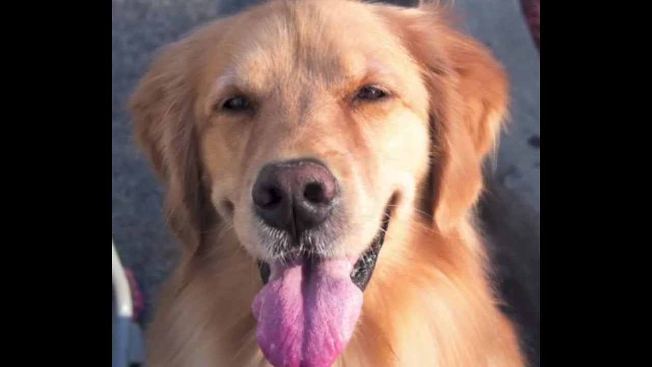 For thinknoodles[Playing on fortnite - YouTube