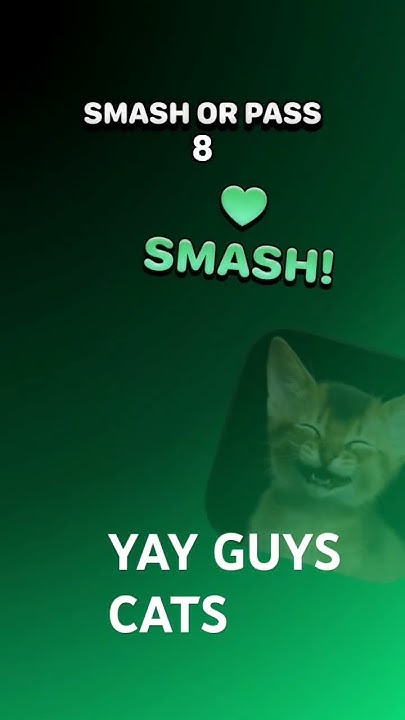 YAY GUYS CATS - YouTube