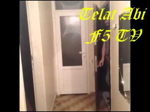 Aykut Elmas Köpekler ve Kediler Sahiplerini Nasıl Karşılar   Vine