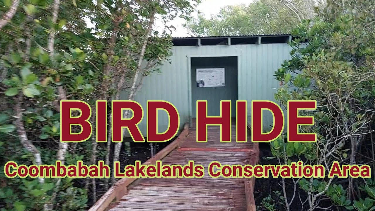 Coombabah Lakelands Conservation Area Bird Hide - YouTube