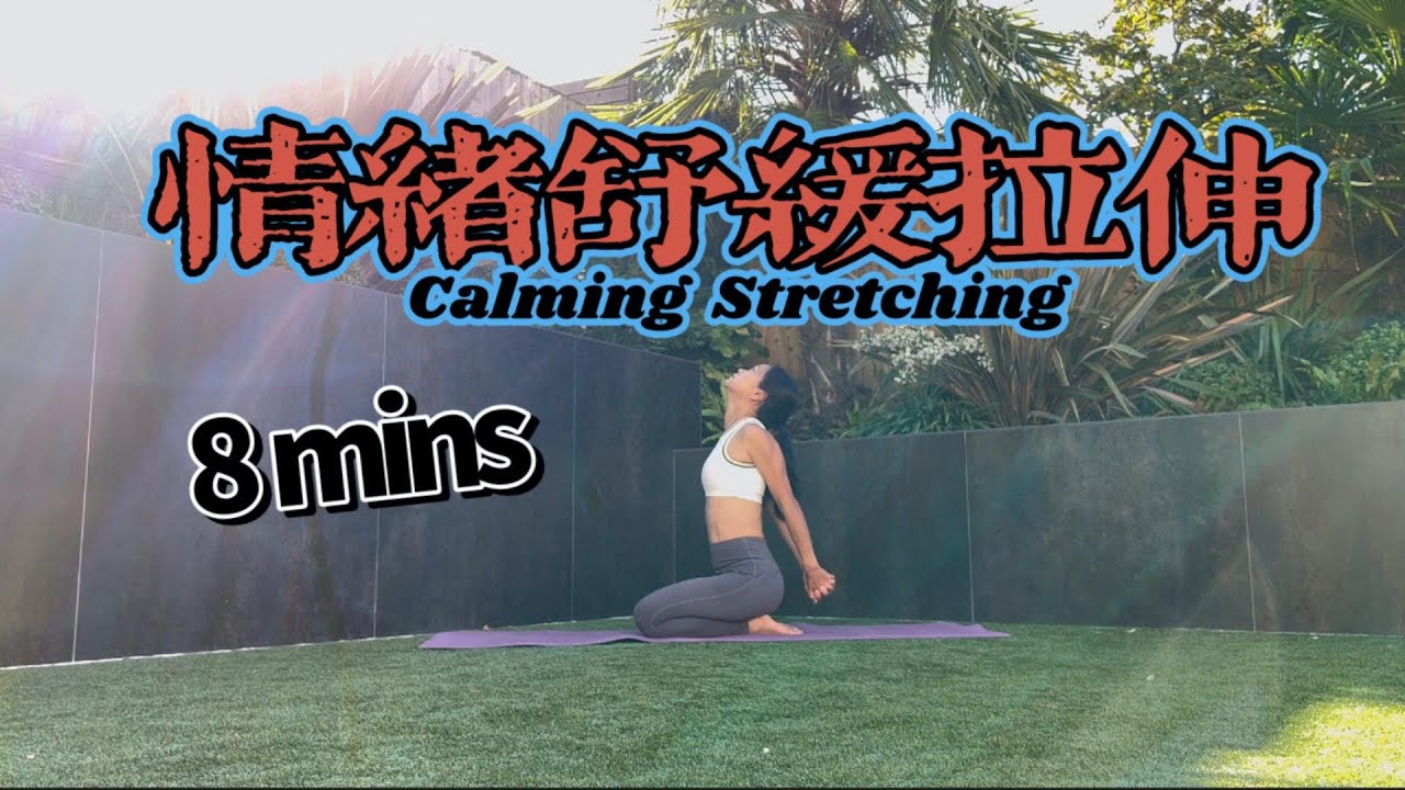 8 mins Stress Relief Stretches /8分钟压力舒缓拉伸 - YouTube