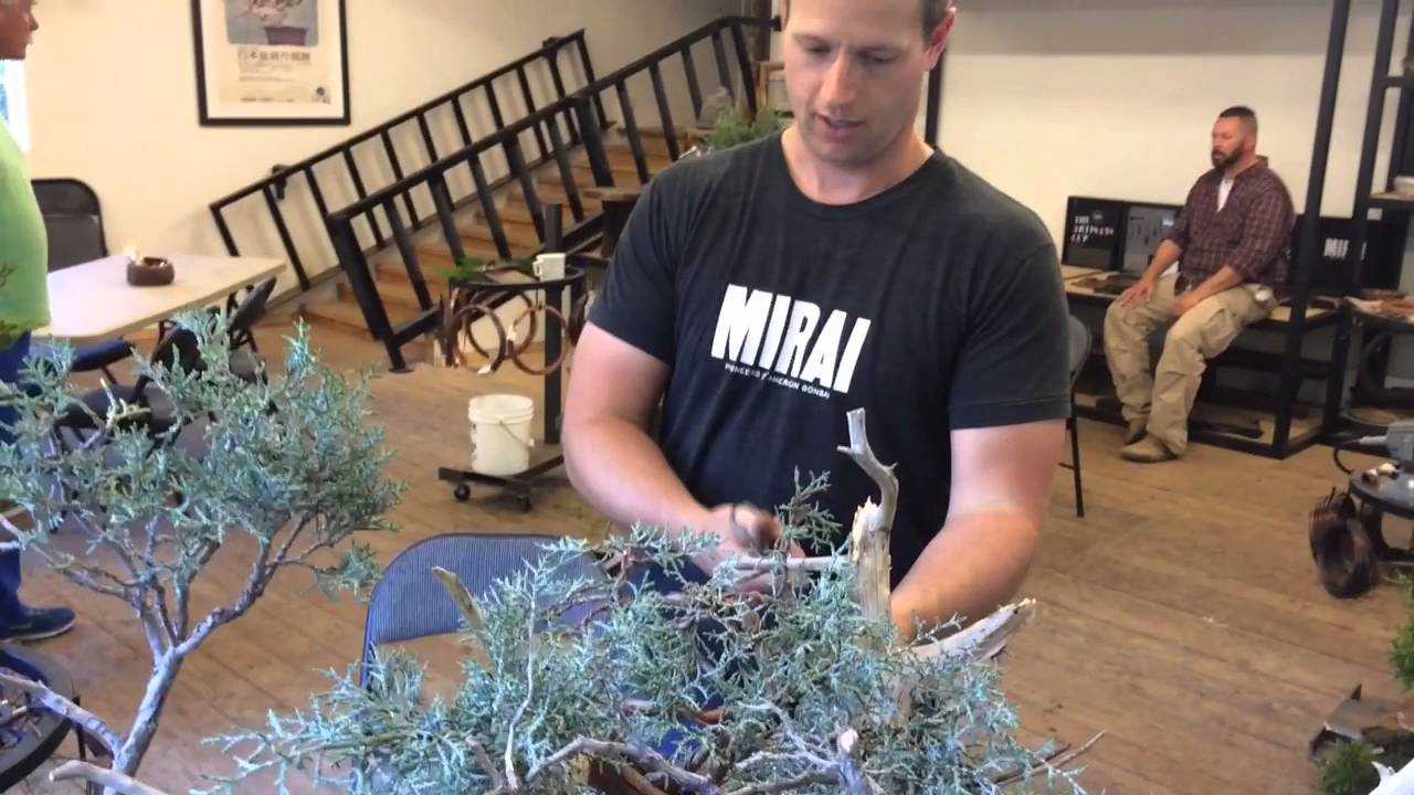 American Bonsai Master Ryan Neil - YouTube