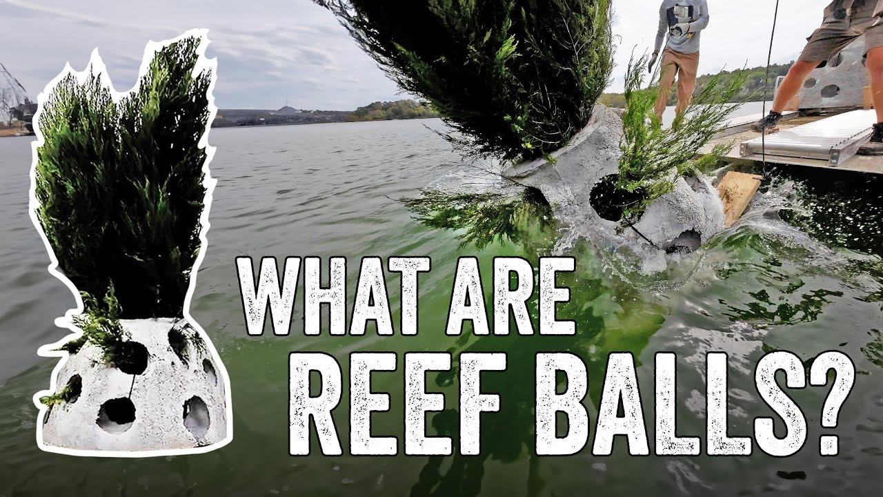 What is a "REEF BALL" and why are they in Kentucky? - YouTube