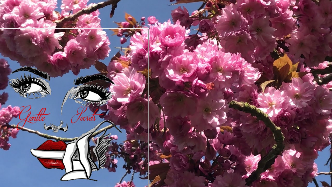 SHOP GENTLE SECRETS - YouTube