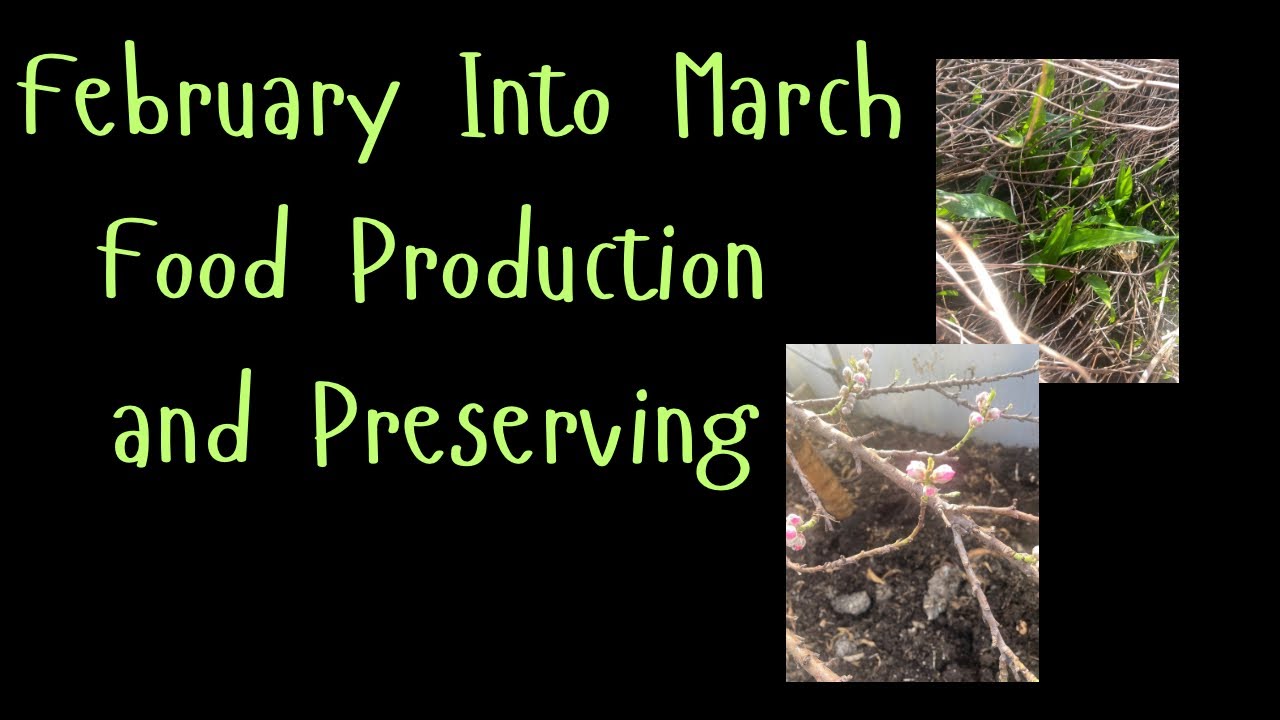 Food Production and Preserving through February into March ...