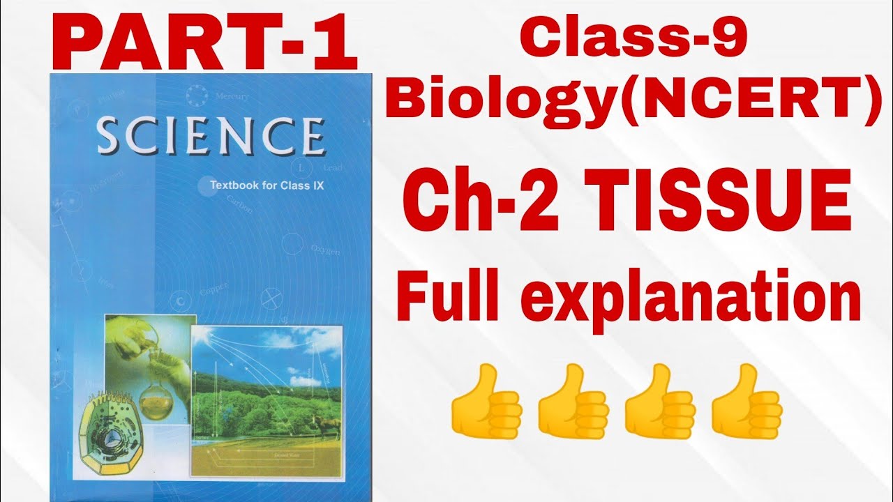 Biology Class-9|Ch 2-Tissue|part-01|full explanation|with notes. - YouTube