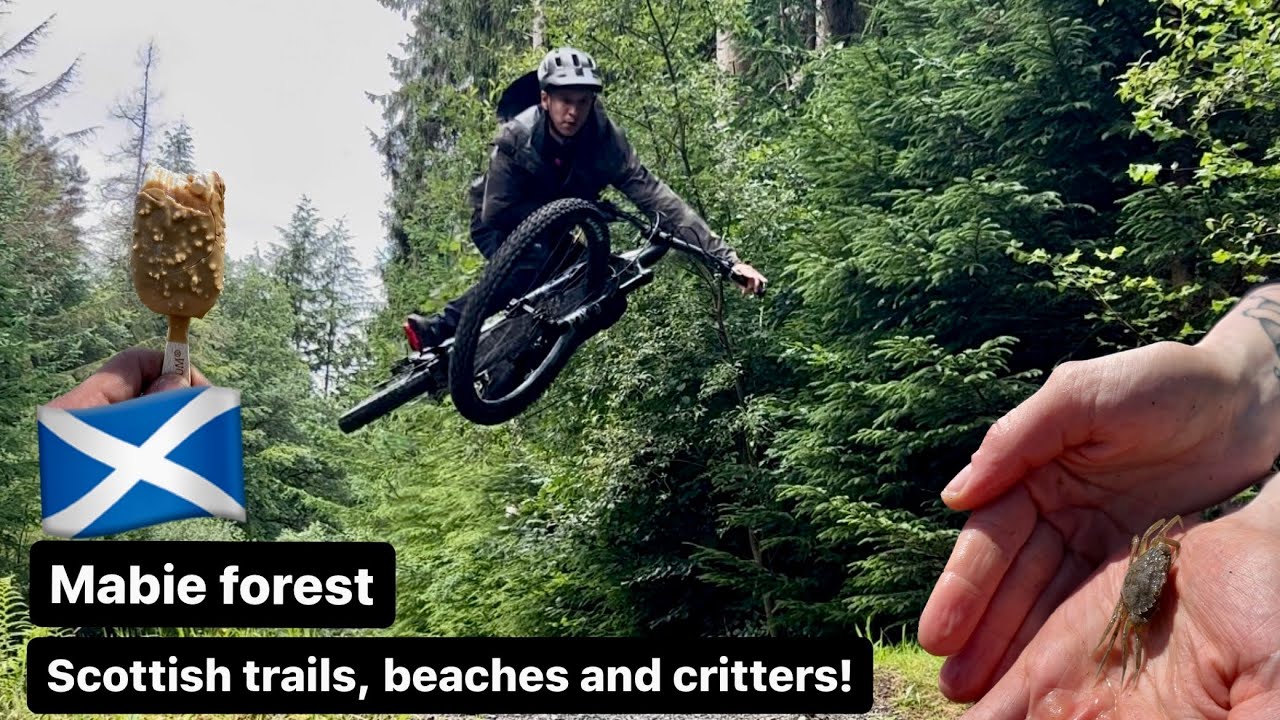 Riding some Scottish mtb trails! Mabie forest! Great loop with some ...