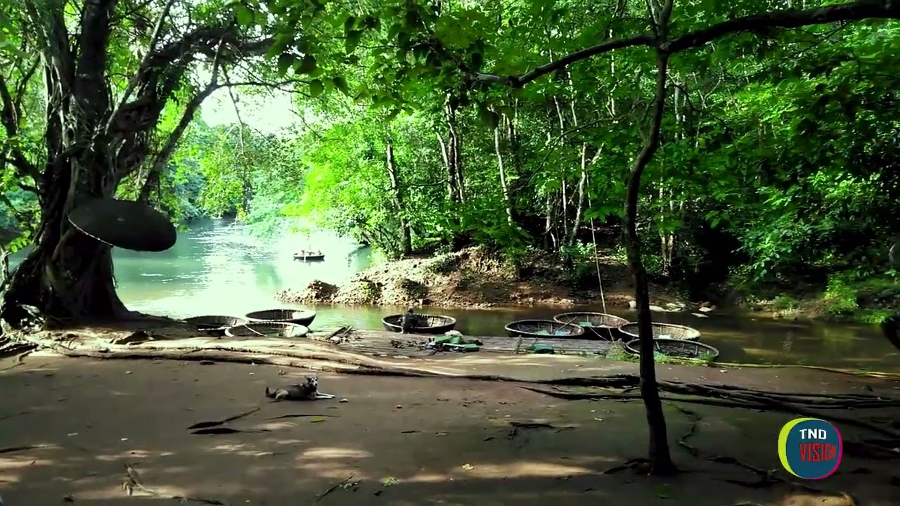 Thannithode Ecoo - YouTube