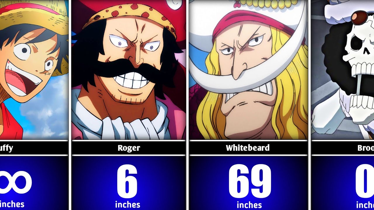 Measurements of One Piece Characters - YouTube