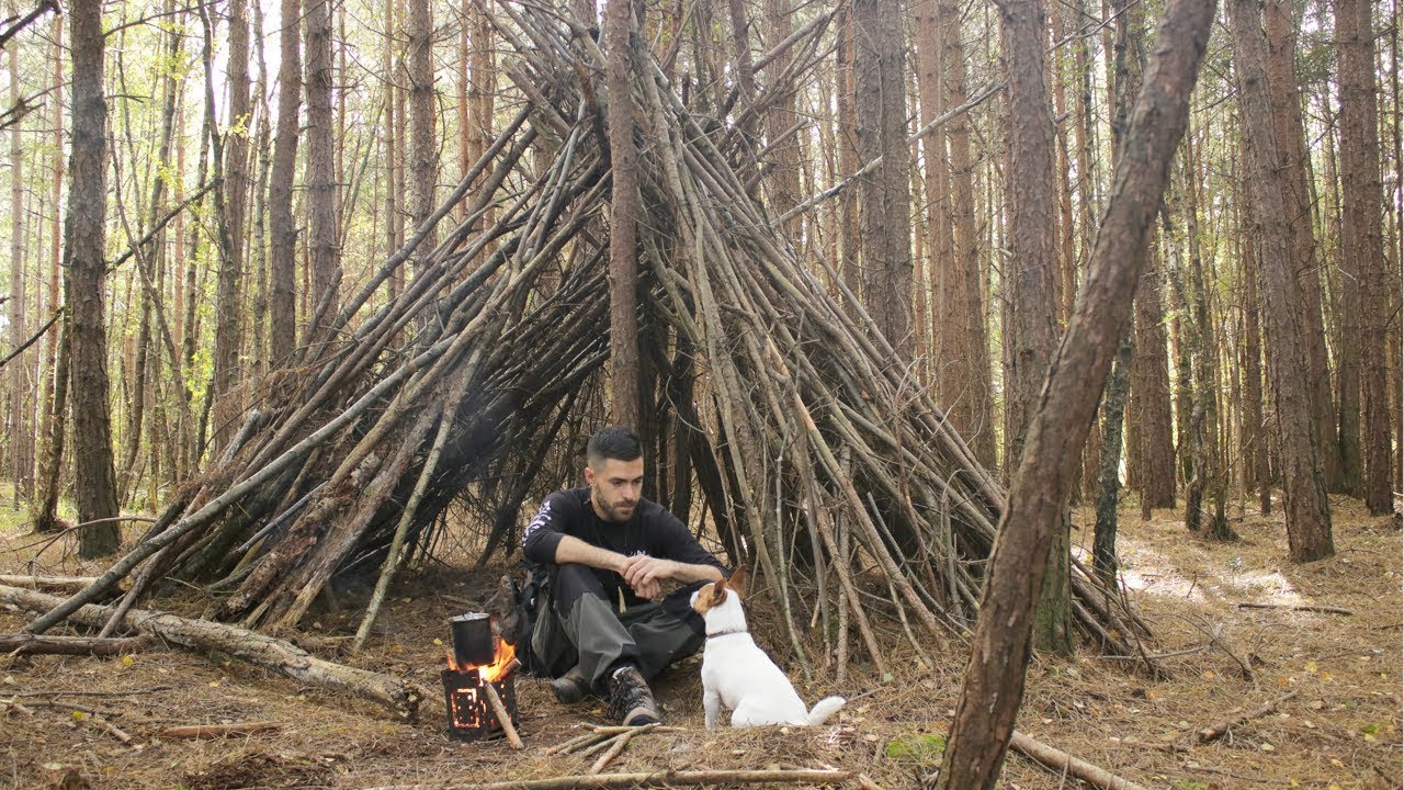 Bushcraft Camp Shelter - Campfire, Long Hike with my Dog, Folding Wood ...