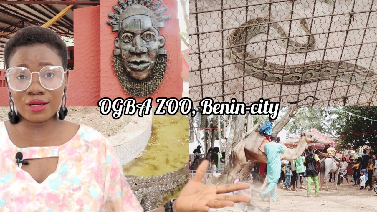 Welcome to OGBA ZOO, BENIN CITY.....unexpected findings.... - YouTube